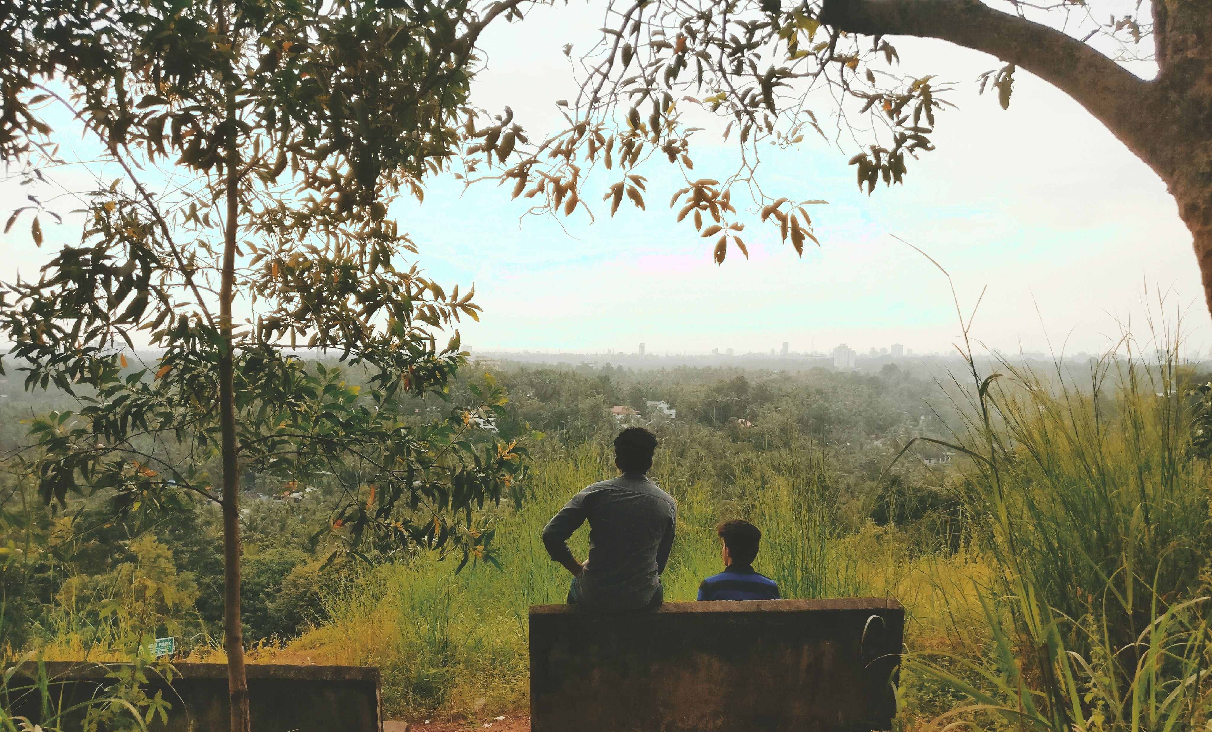 Passagens baratas para Calicute - KAYAK